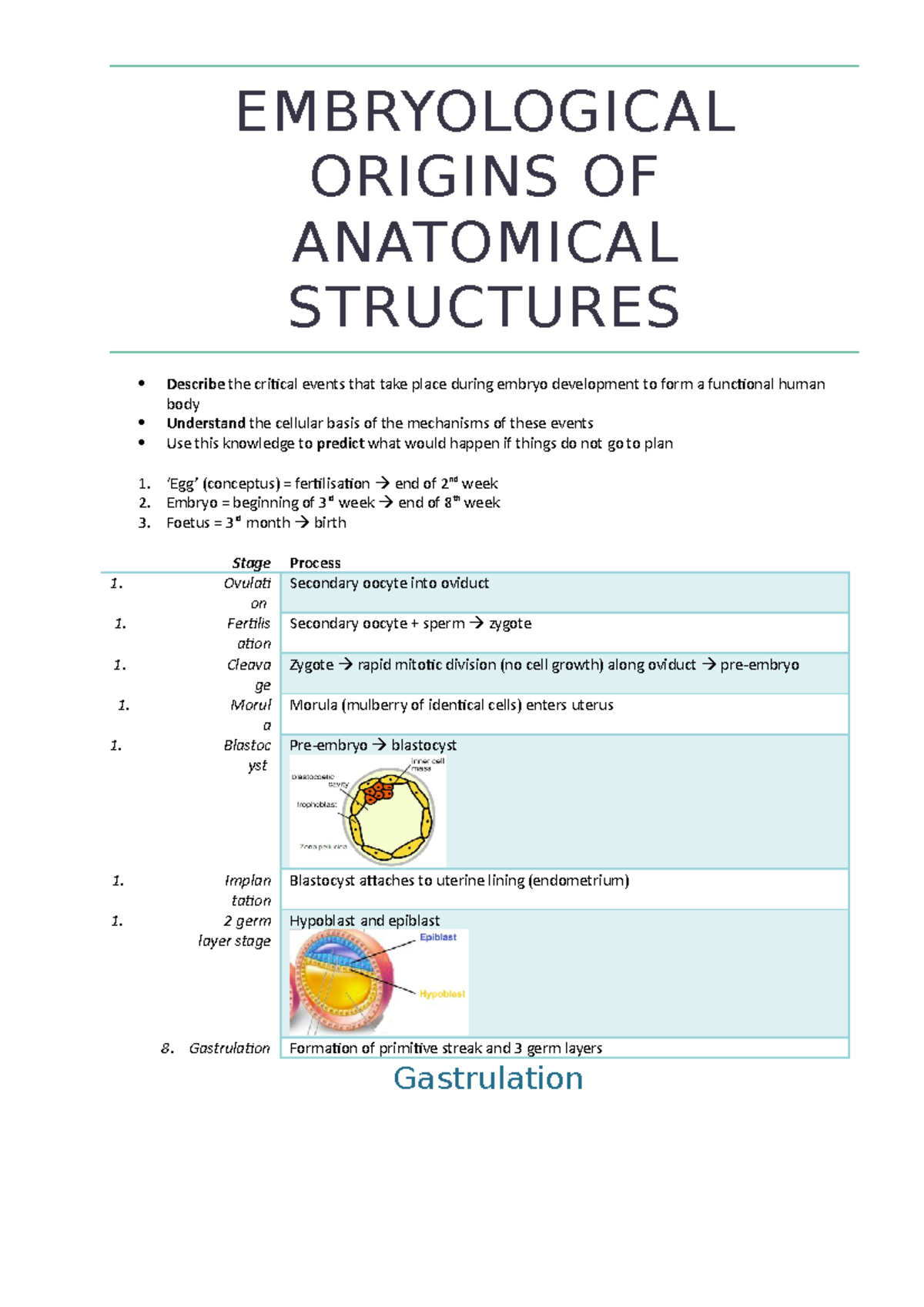 Embryology: Key Events in Human Development and Germ Layer Formation ...