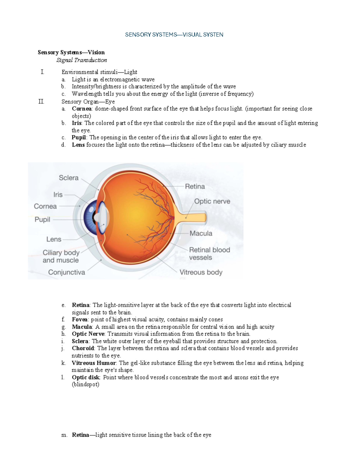 Sensory Systems: Visual System Overview (Biology 101 Lecture Notes ...