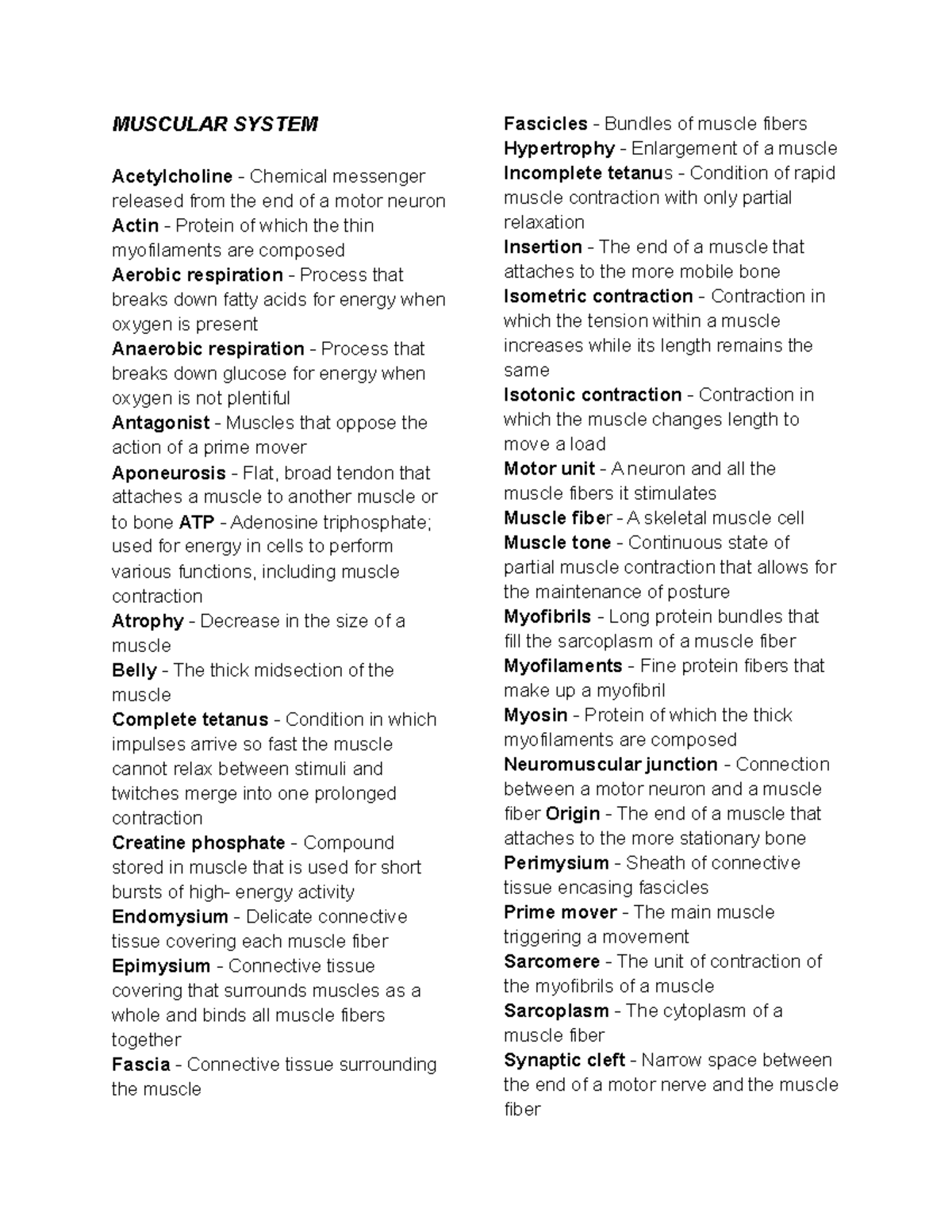 Anaphy - Muscular and Nervous System Review - MIDTERM Study Guide - Studocu