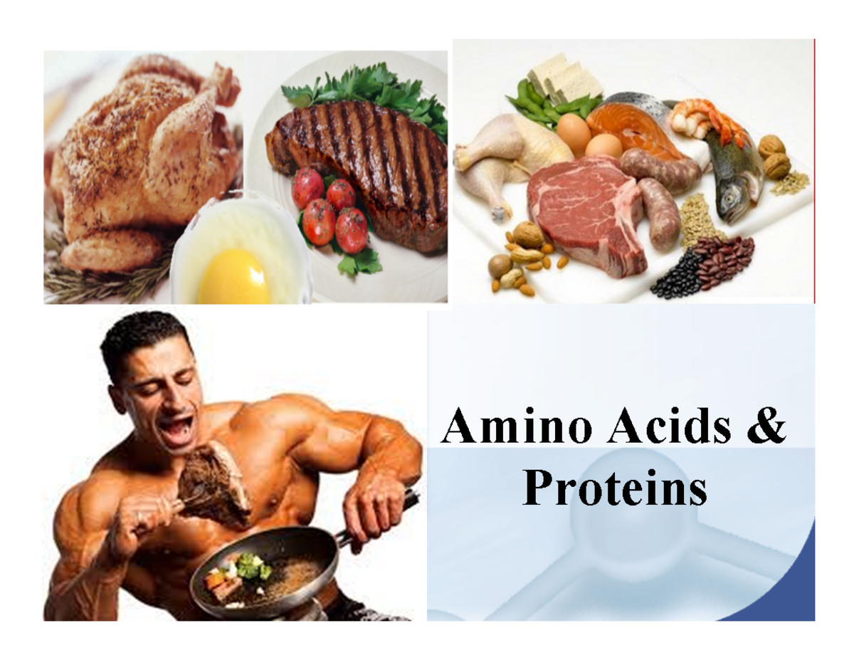 Biochem Lec Amino Acids Proteins 1 - Amino Acids & Proteins Chapter 20 ...