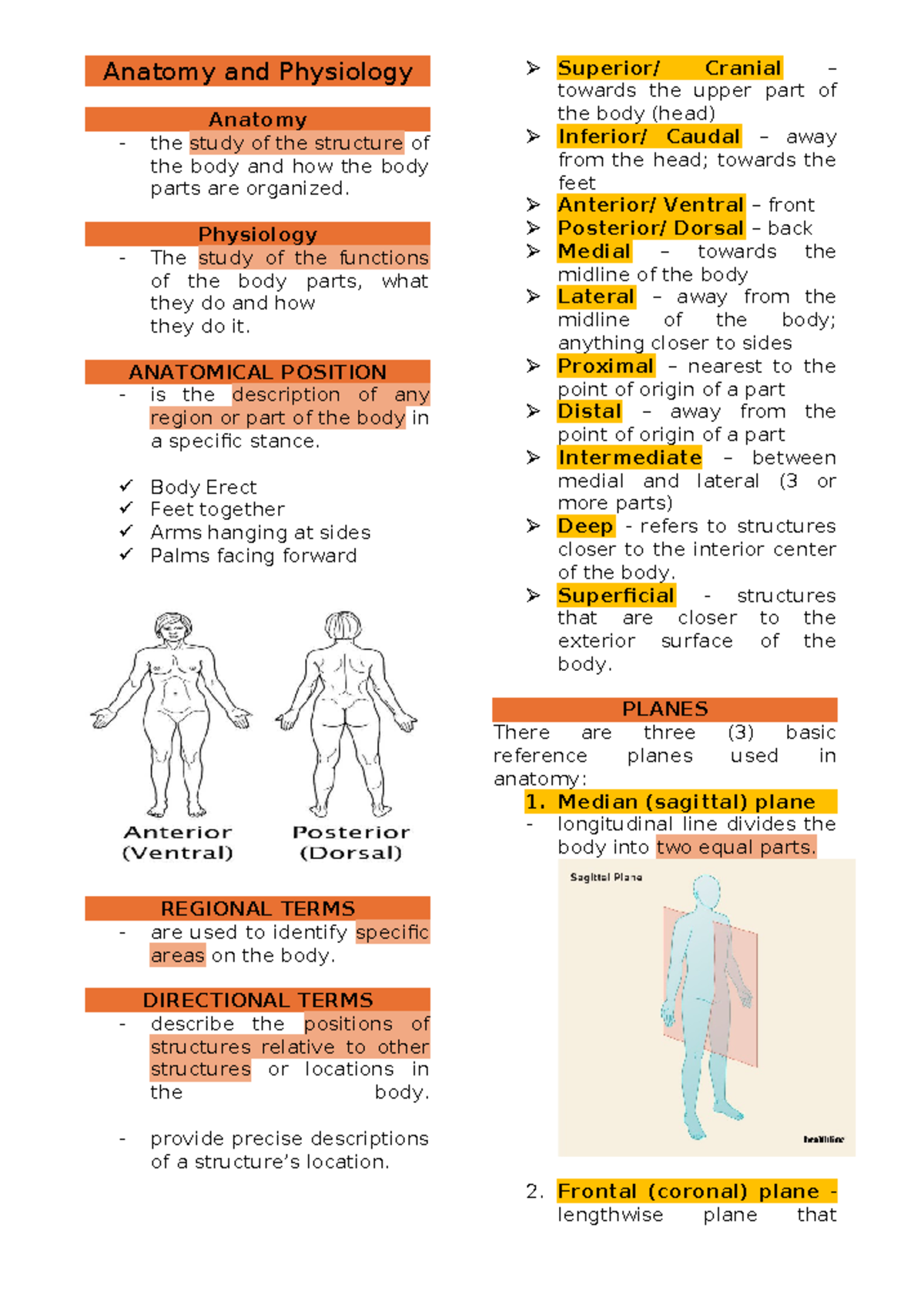 Anatomy & Physiology Overview: Key Terms & Body Cavities (ANAPHY LAB ...