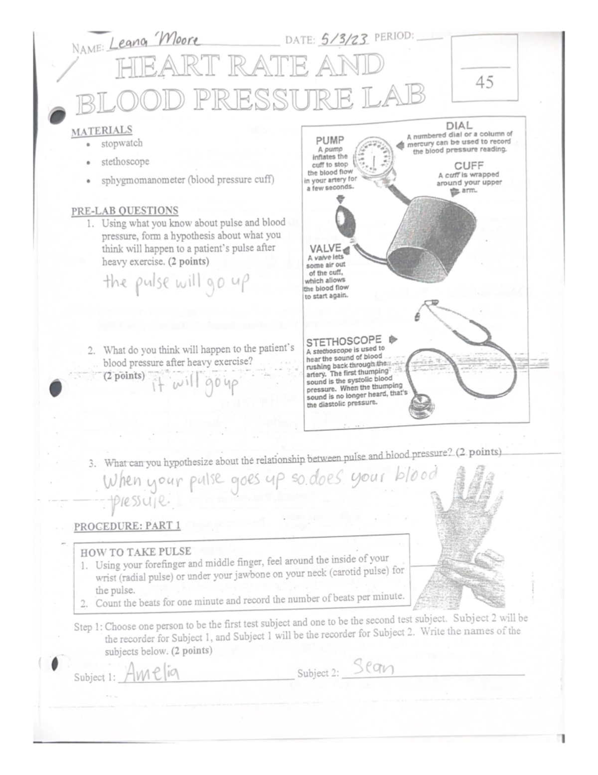 Heart rate and blood pressure lab - Studocu