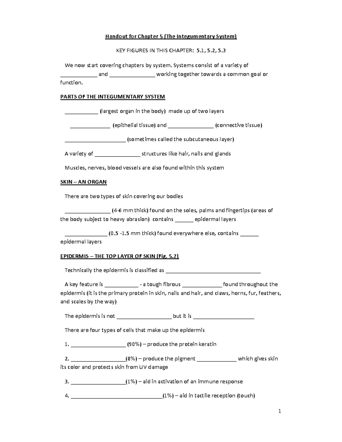 Chapter 5 Handout S19: The Integumentary System Overview - Studocu