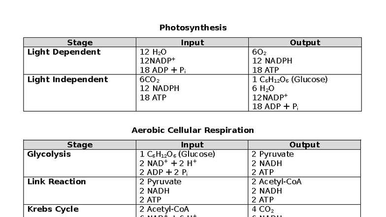 Bio 101: Photosynthesis & Cellular Respiration Inputs/Outputs - Studocu