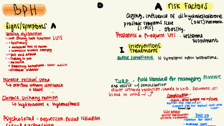 Benign Prostatic Hyperplasia (BPH) Overview and Management Strategies ...