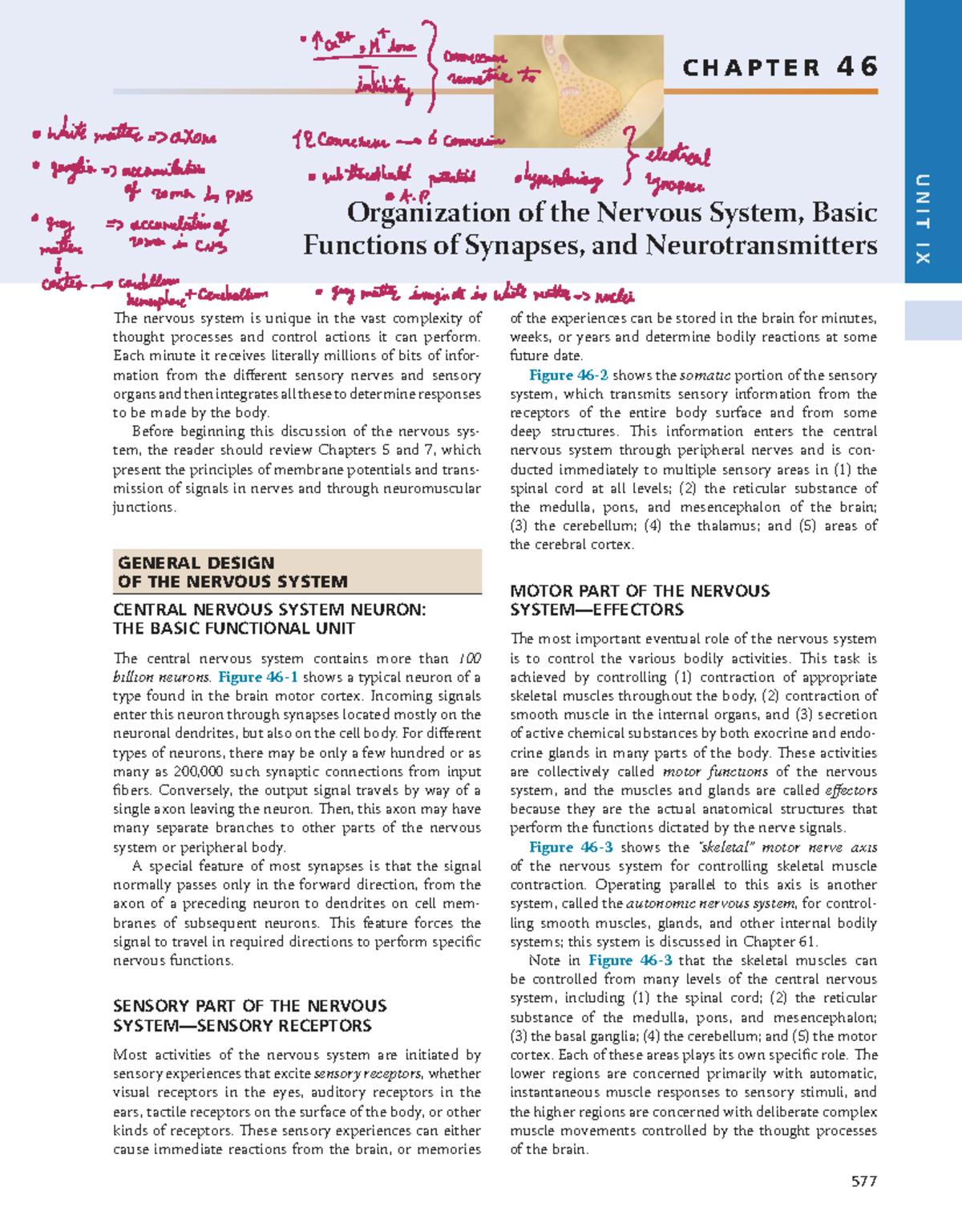 CHAPTER 46: Organization of the Nervous System and Synaptic Functions ...