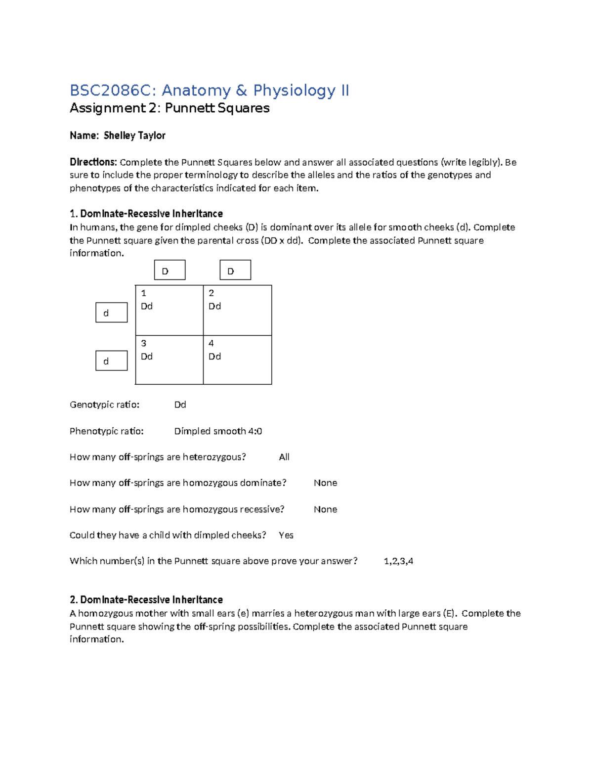 BSC2086C Assignment 2: Exploring Punnett Squares in Genetics - Studocu
