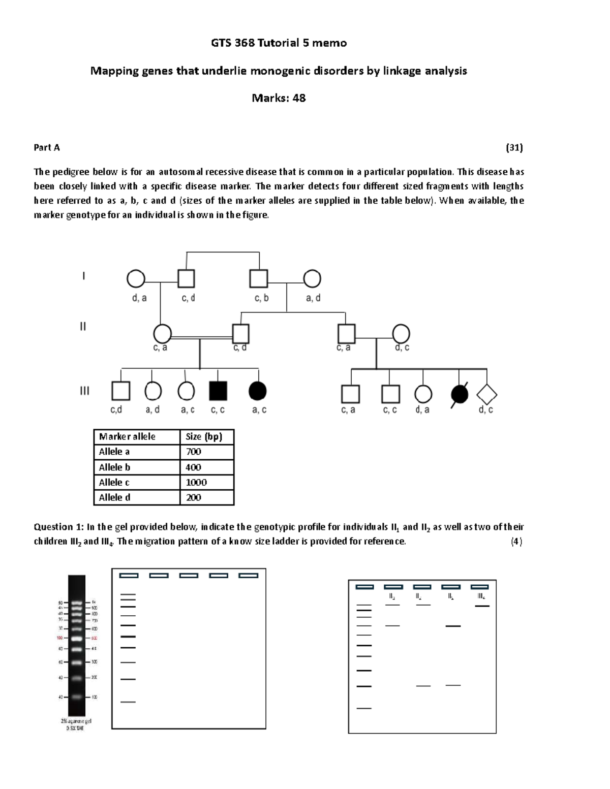 GTS 368 Tutorial 5 Memo: Linkage Analysis & Haplotype Mapping - Studocu