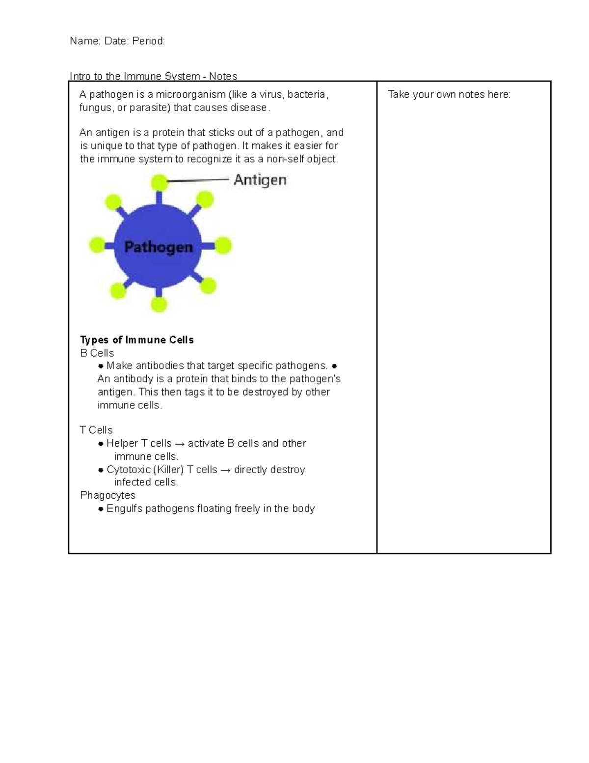 Intro to the Immune System - Lecture Notes (BIOL 101) - Studocu