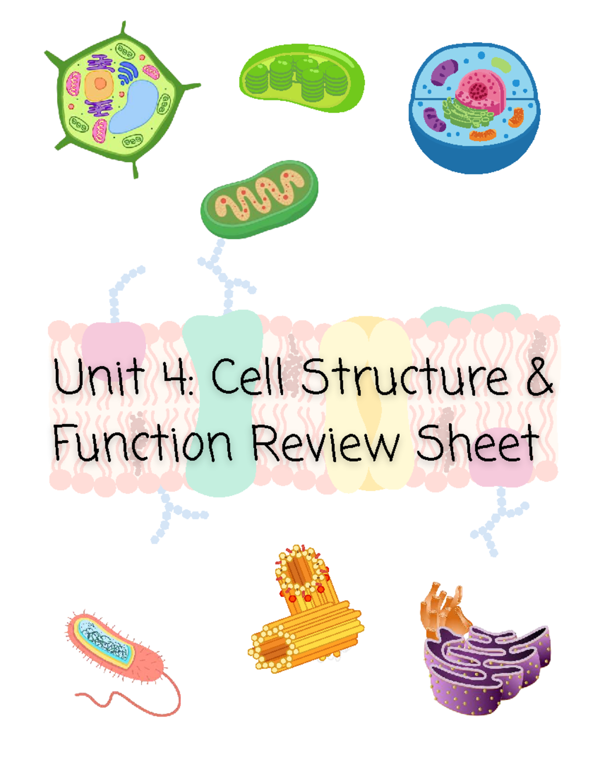 Review sheet unit 4 cover - Sl unit 4: Cell Structure & Function Review ...