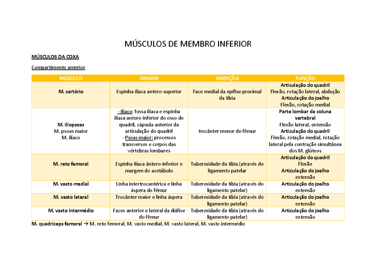 Músculos do Membro Inferior: Origens, Inserções e Funções Detalhadas ...
