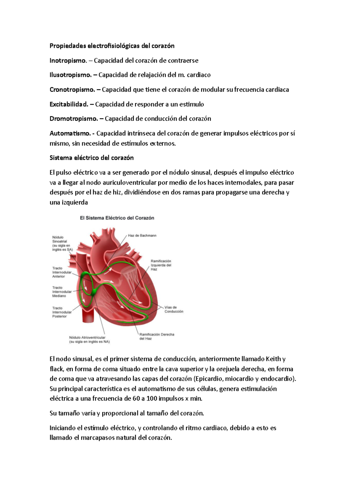 Clase #2 Electrofisiología part - Propiedades electrofisiológicas del ...