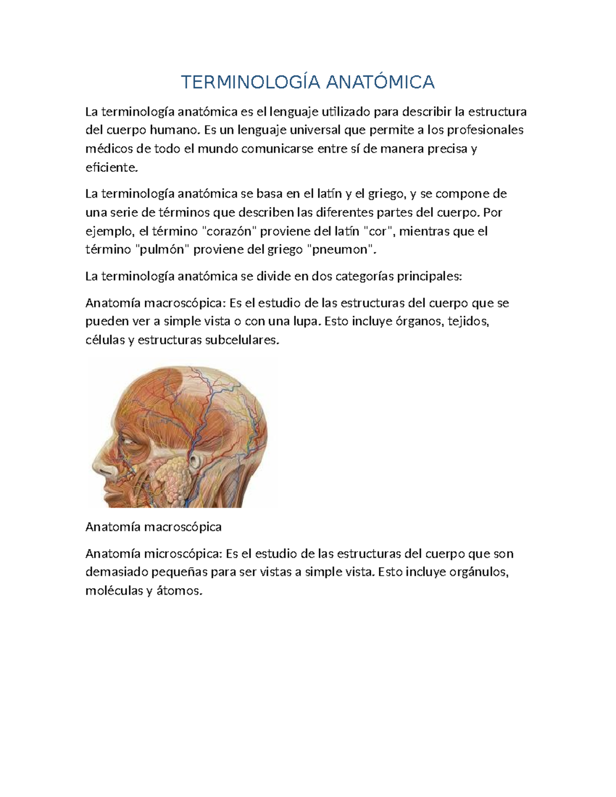 Terminología Anatómica: Conceptos Esenciales y Funciones Clave - Studocu