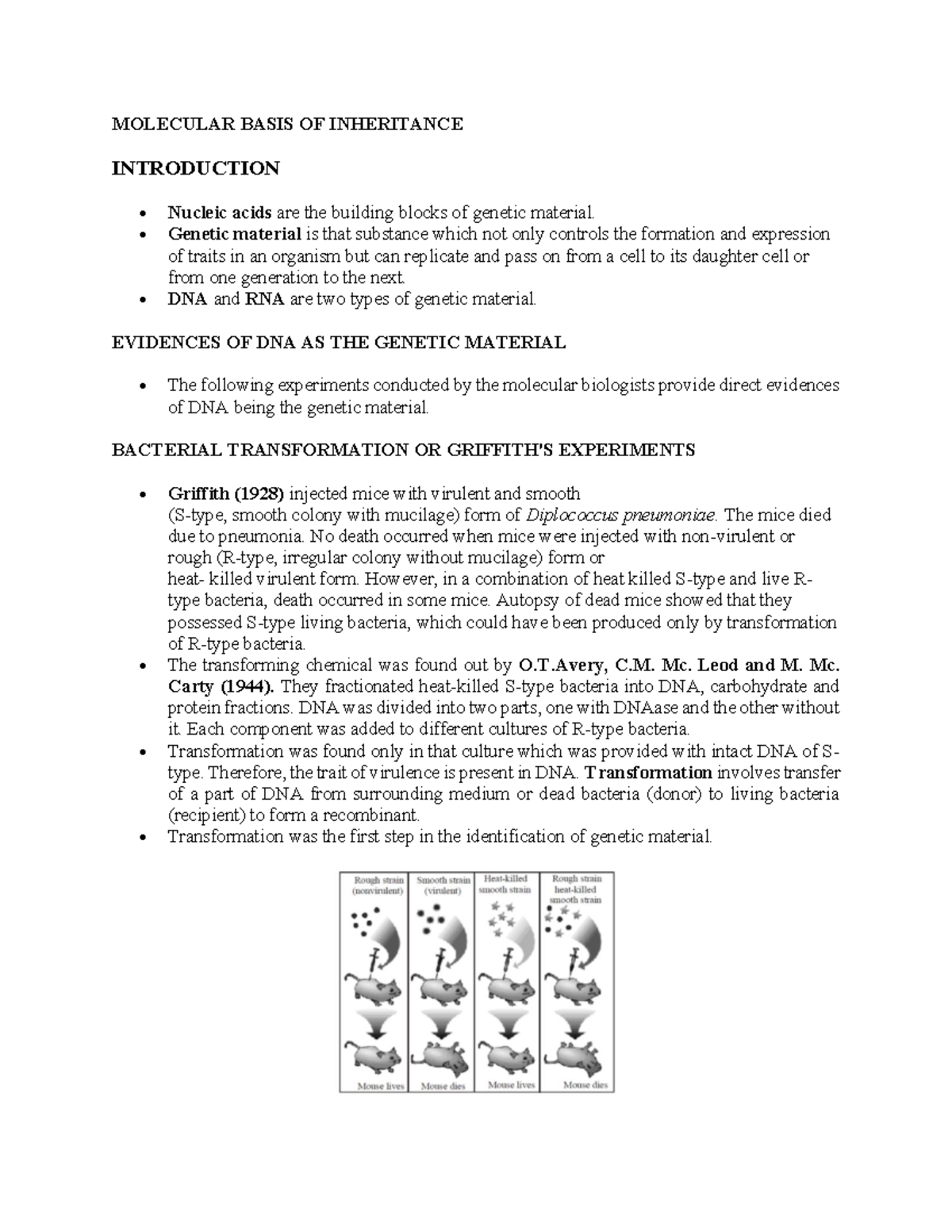 Molecular Basis of Inheritance: Key Concepts and Evidence - Studocu