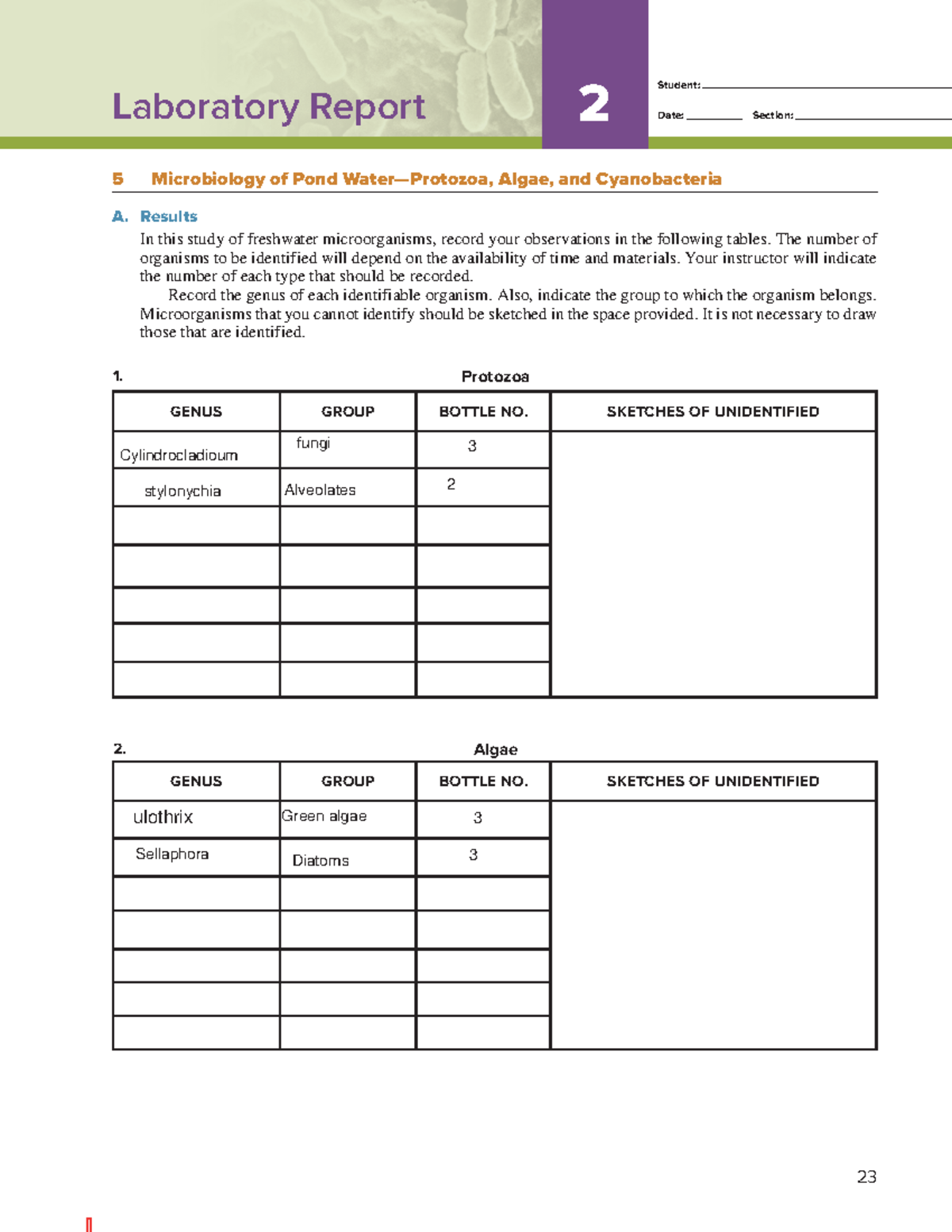 Microbiology Lab Report: Exercise 02 - Freshwater Microorganisms - Studocu