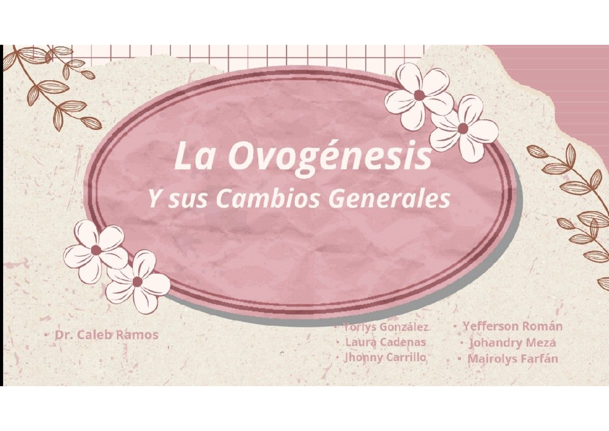 Ovogénesis: Procesos y Etapas Clave en la Fertilidad Femenina - Studocu