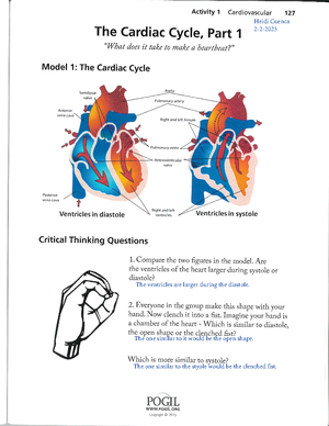 AP 1 Ch 15 Sensory Pathway NS Exam Questions - Chapter 15 Sensory ...
