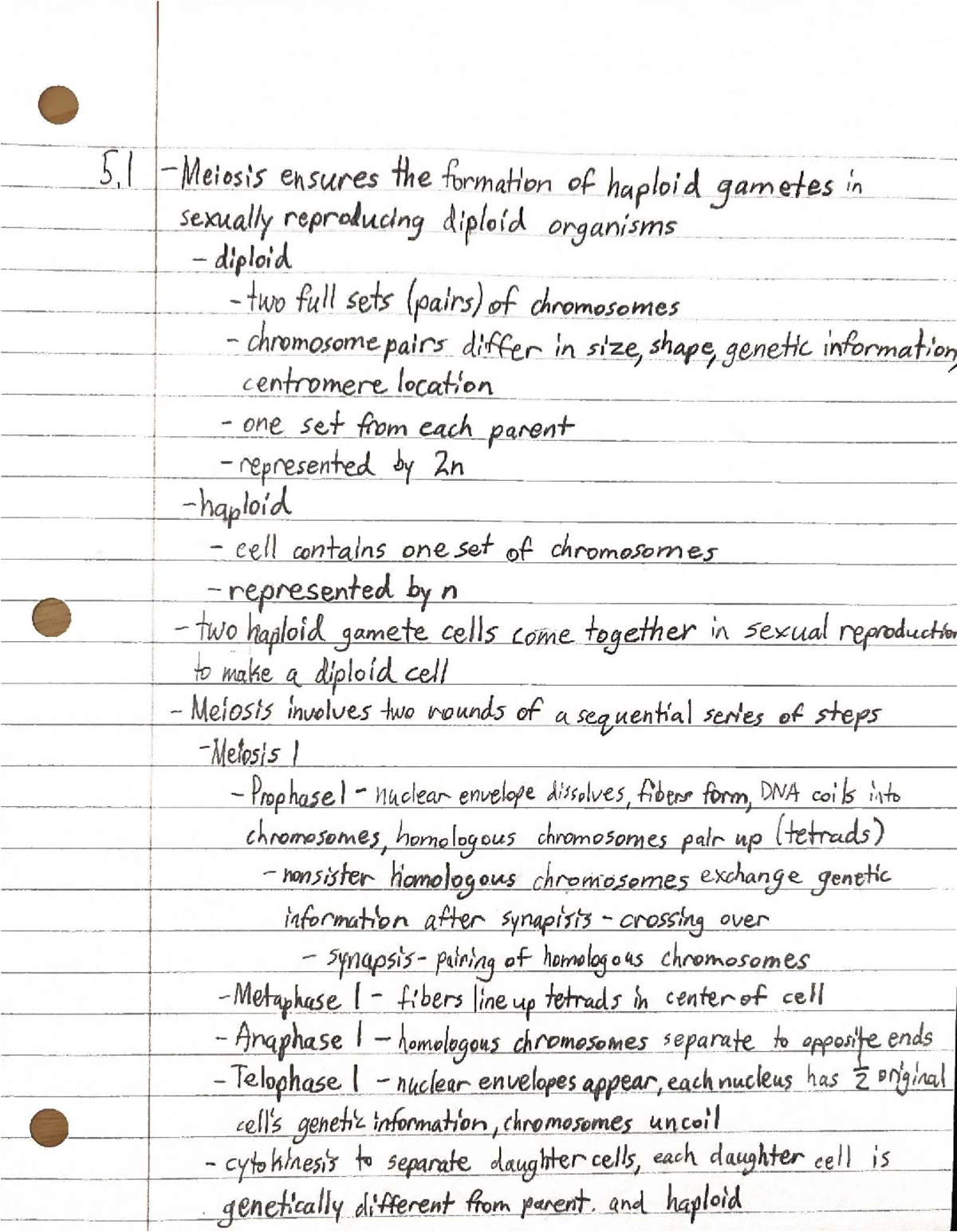 Unit 5: Meiosis and Genetic Variation Notes - Studocu