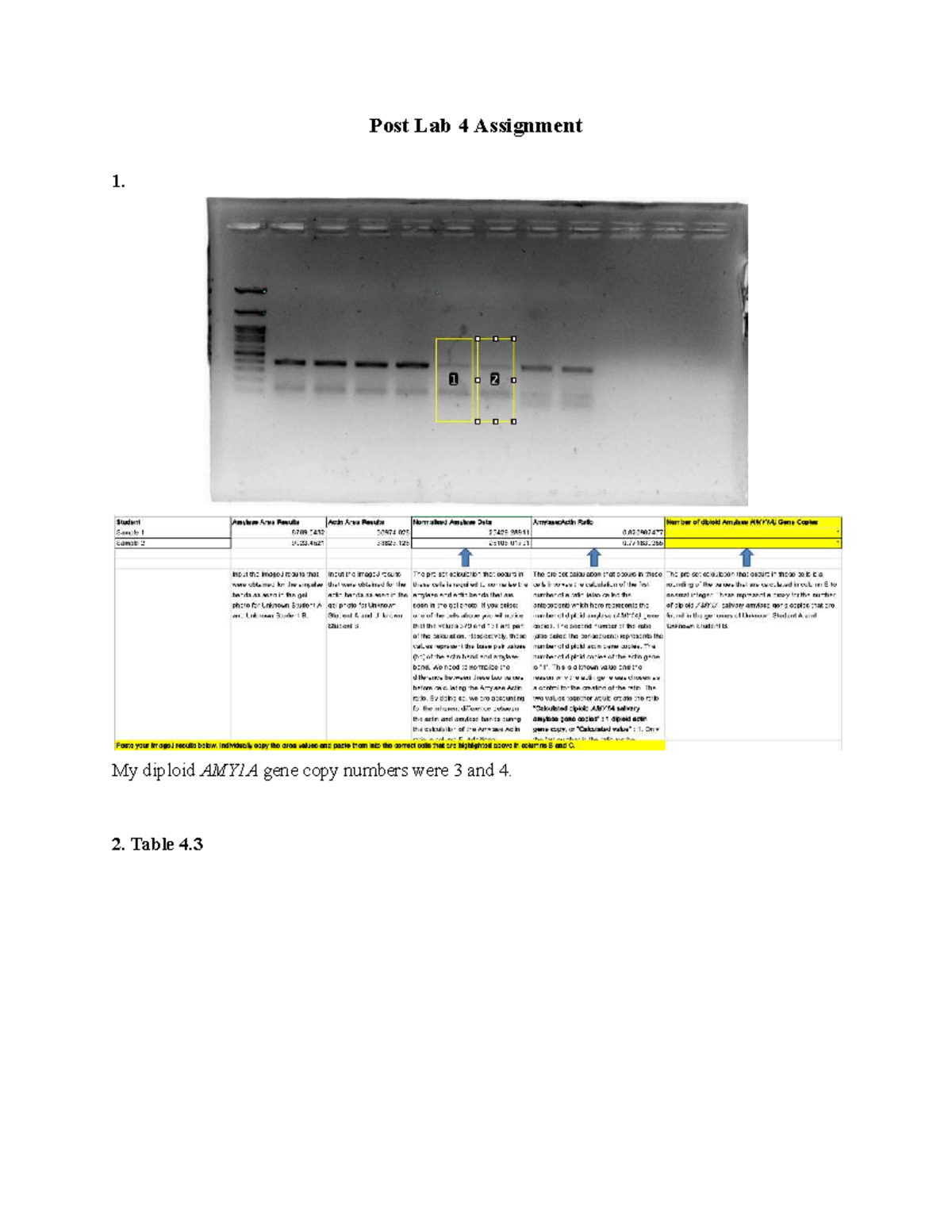 Biology Post lab 4 - Post lab assignment 4 - Bio 1A03 - Post Lab 4 ...