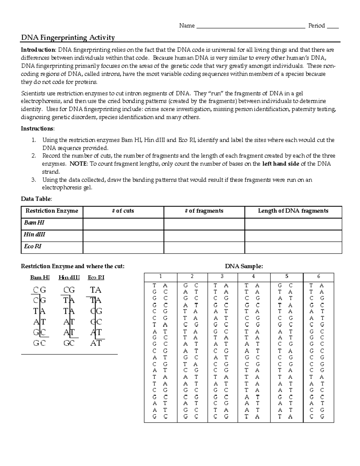 DNA Fingerprinting Activity: Exploring Genetic Variability - Studocu