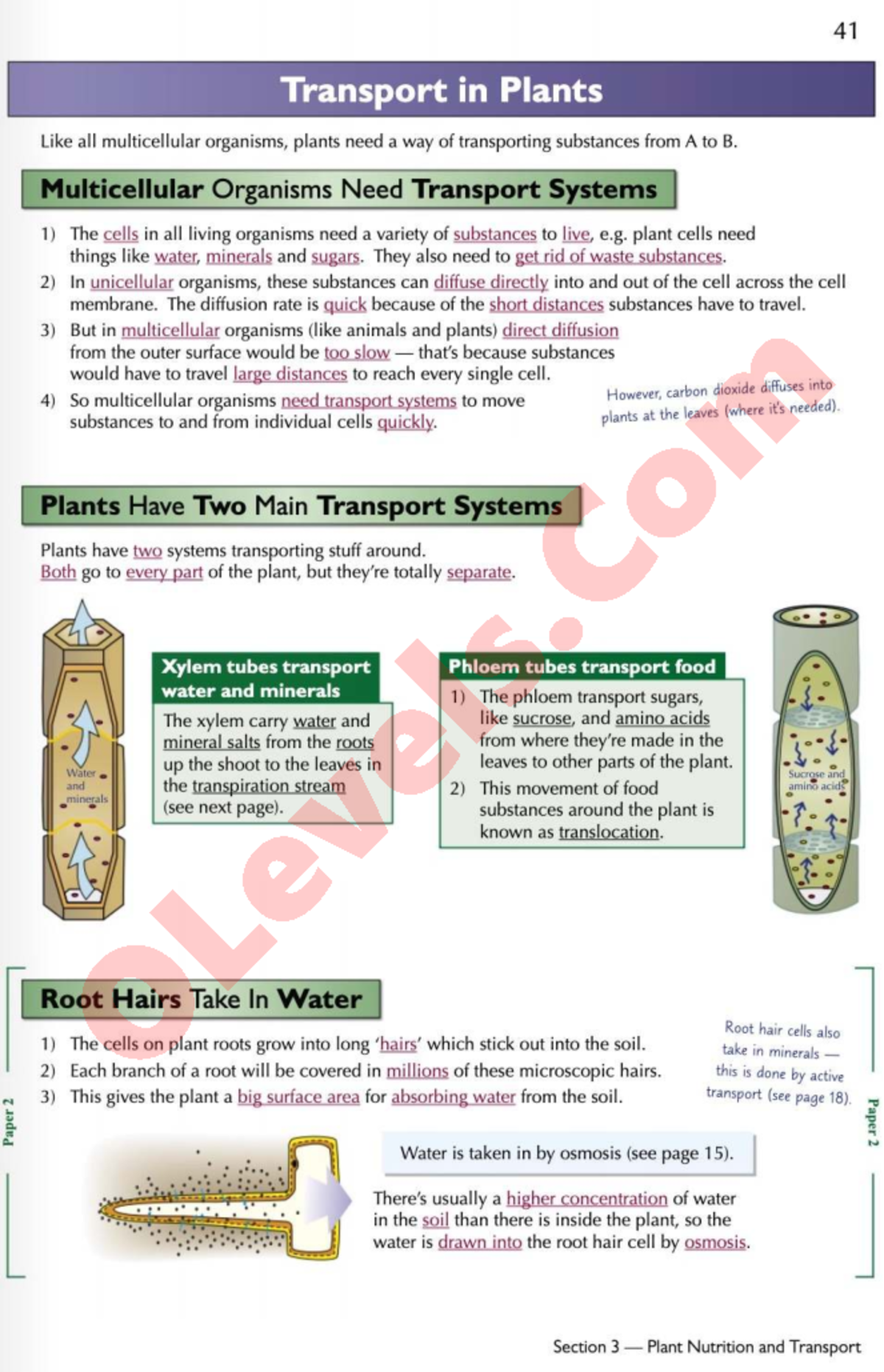 41 Transport in Plants: Understanding Plant Nutrition & Transport ...