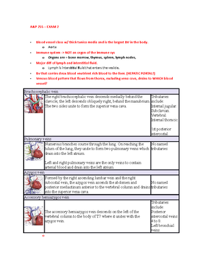 Cardiovascular- Heart Study Guide - STUDY GUIDE: THE CARDIOVASCULAR ...