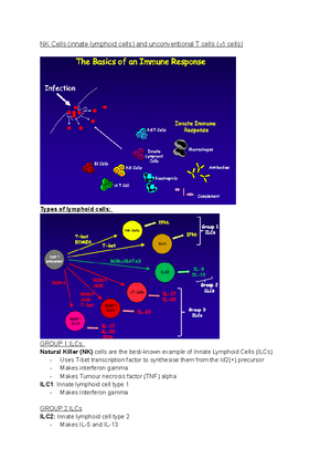 T Cell Activation and Signaling Pathways in Immunology - Week 3 ...