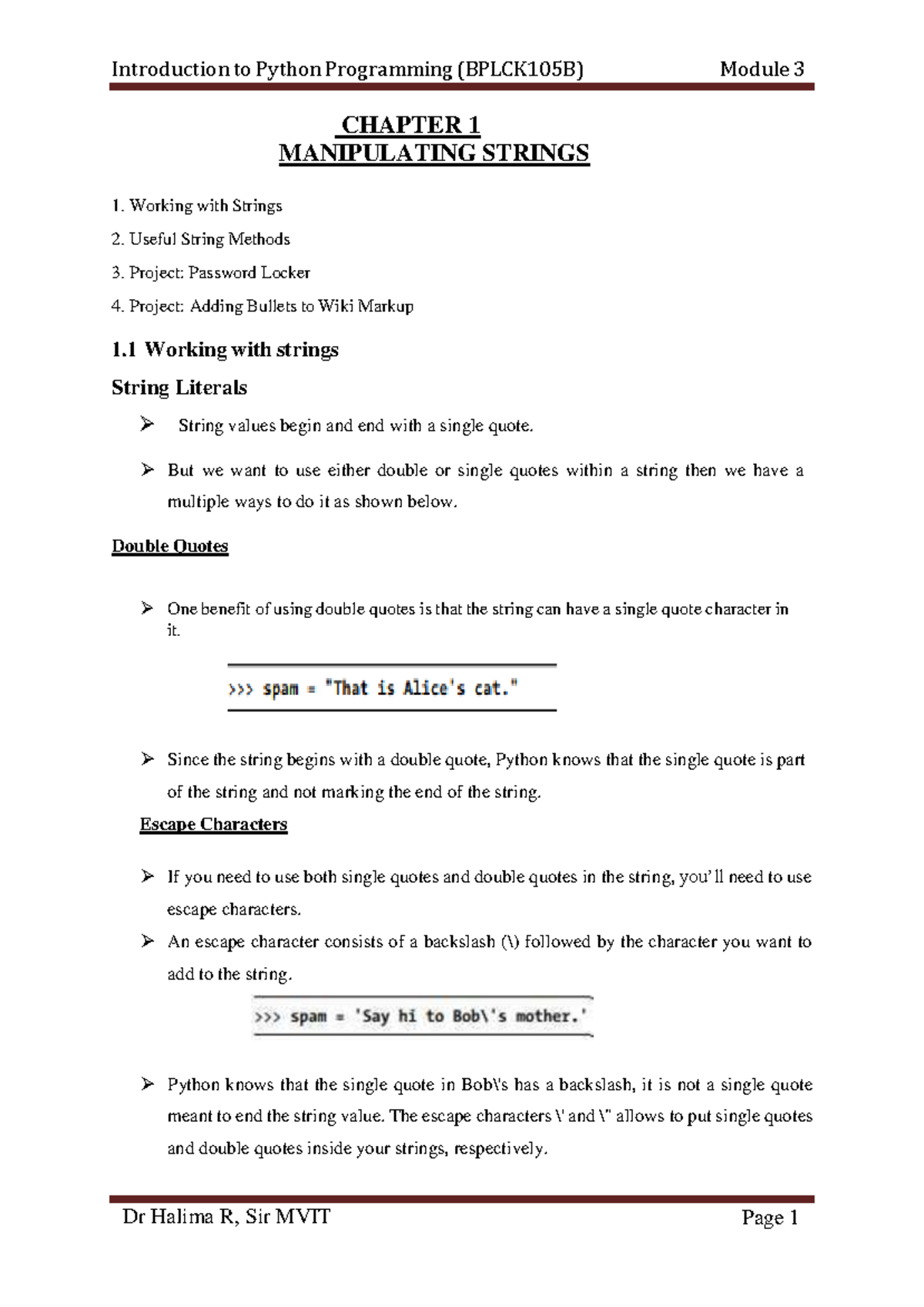 Module 3 Python - CHAPTER 1 MANIPULATING STRINGS ####### 1. Working ...