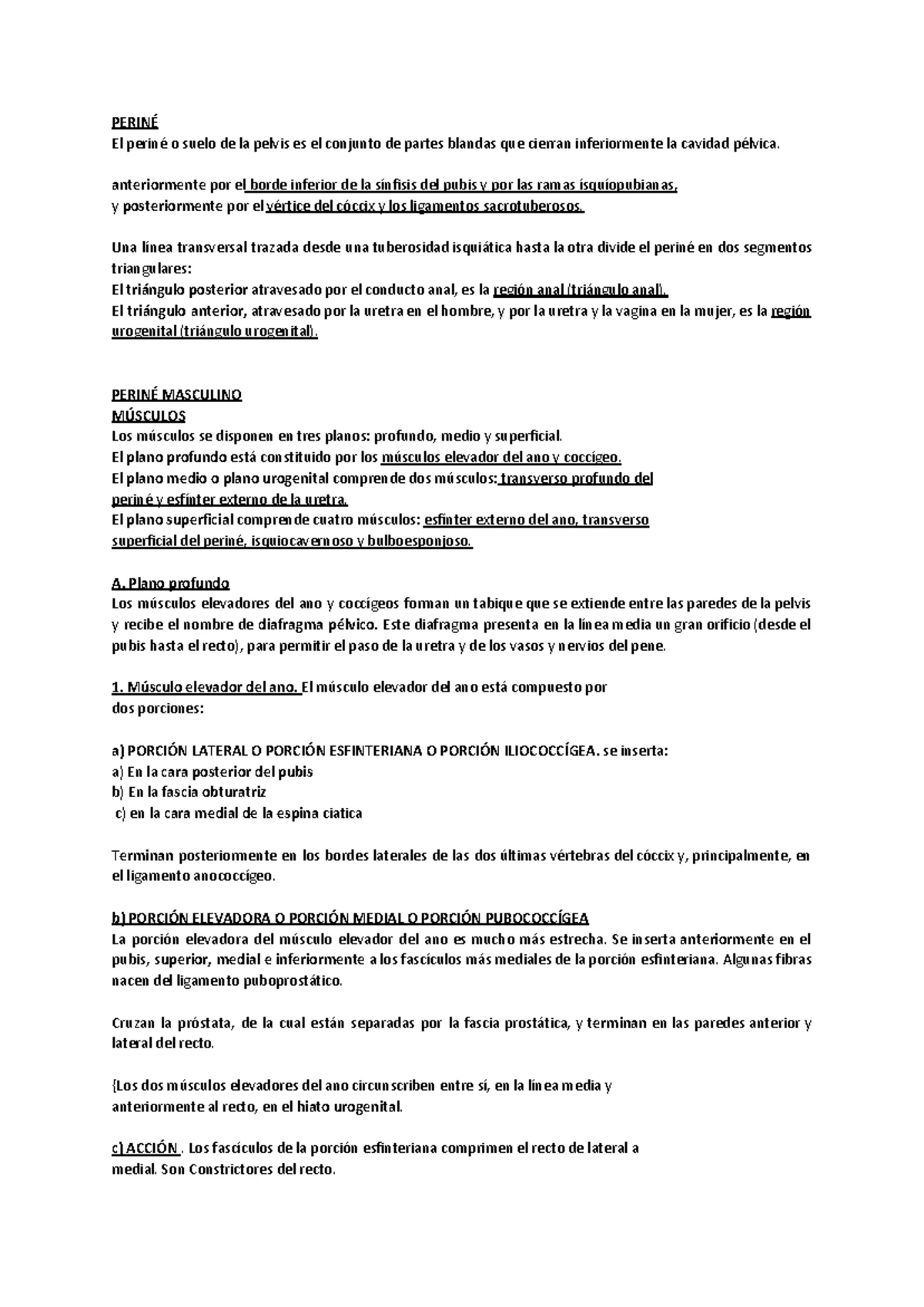 Resumen completo perine - Periné 1. ¿Qué es el periné? El periné es el ...