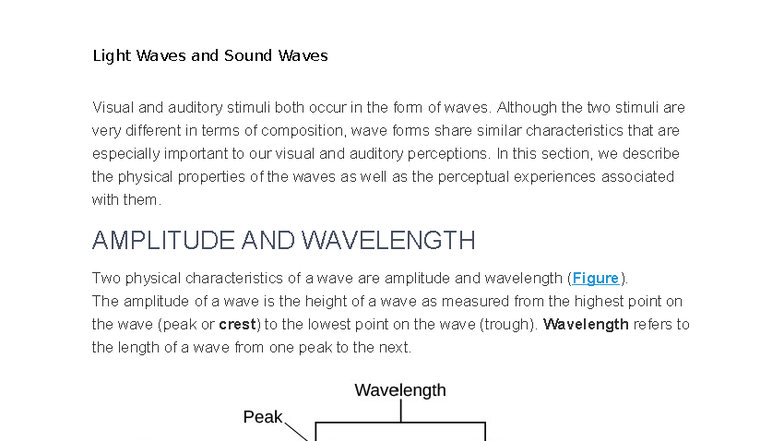 Light and Sound in Sensation and Perception: Waves Explained - Studocu