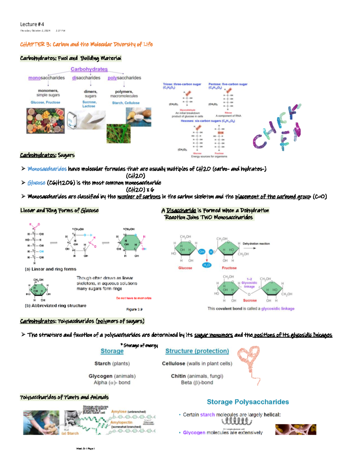 Lecture 4 Notes - CHAPTER 3: Carbon and the Molecular Diversity of Life ...