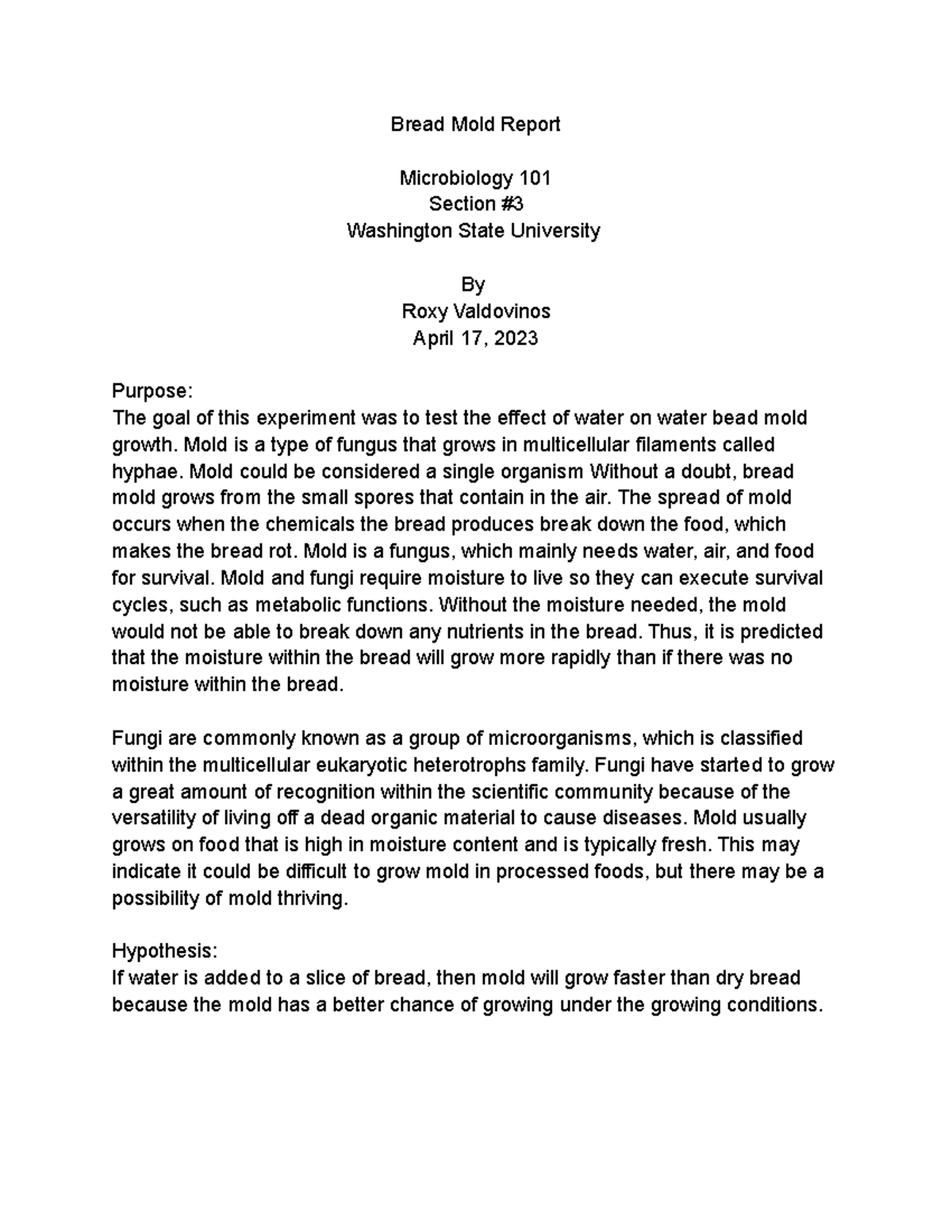 Bread Mold Report - Bread Mold Report Microbiology 101 Section ...