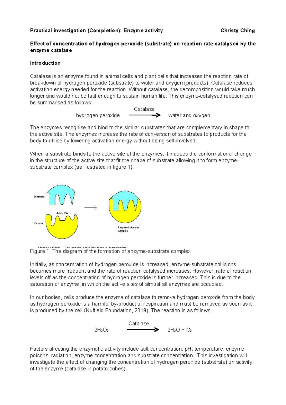 Practical investigation - Enzyme activity - Practical investigation ...