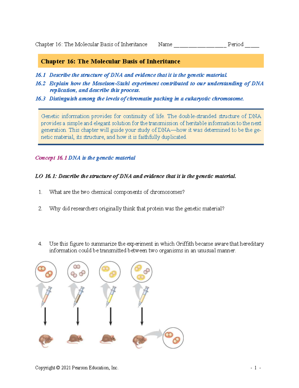 Ch.16 AR - Ap bio homework - Copyright © 2021 Pearson Education, Inc ...