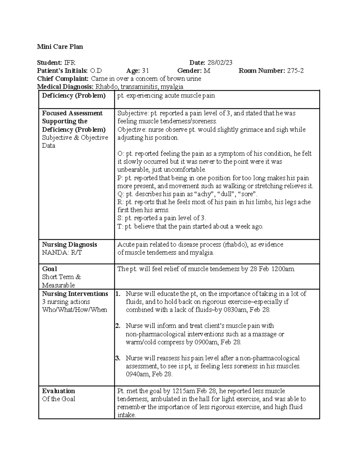 Mini Care Plan Template for Patient O – Nursing Diagnosis ...