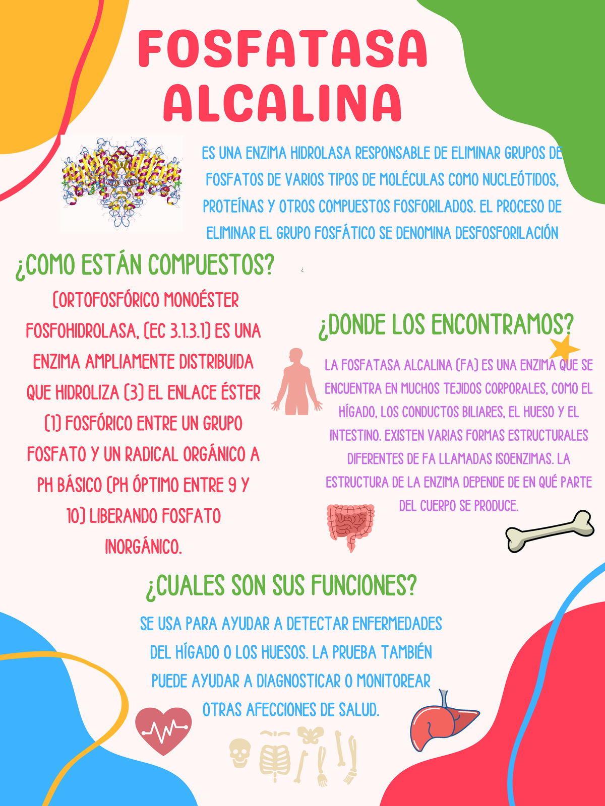 Practica #6- Determinacion de Fosfatasa alcalina Equipo 1 - FOSFATASA ...