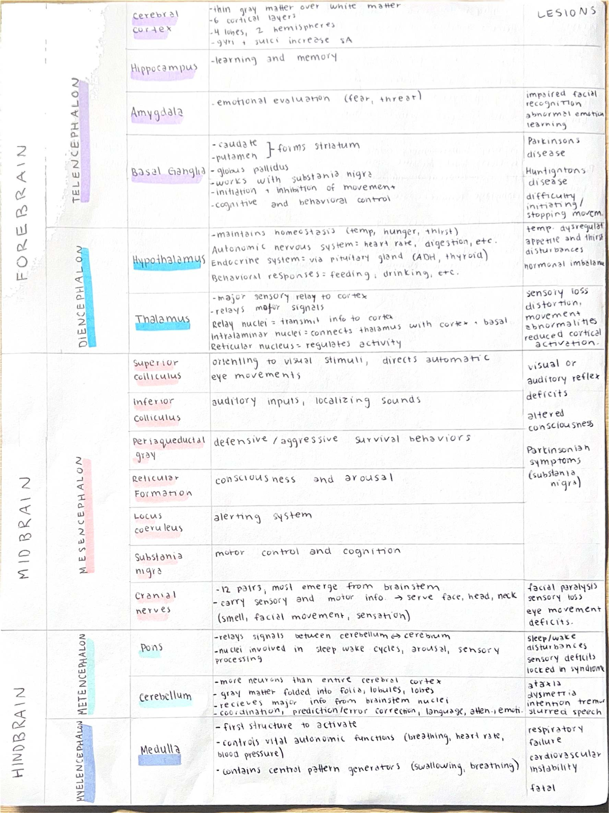 Cerebral Cortex and Brain Function: A Study on Lesions and Disorders ...