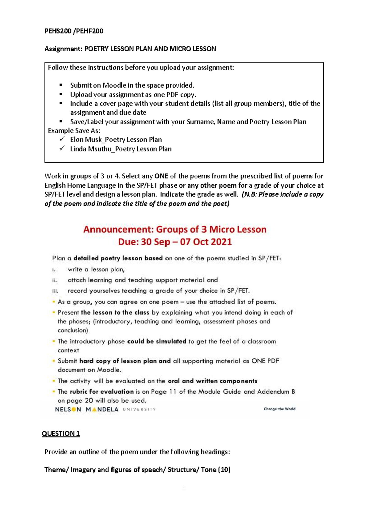 PEHS200 Assignment: Poetry Lesson Plan & Micro Teaching Guide - Studocu