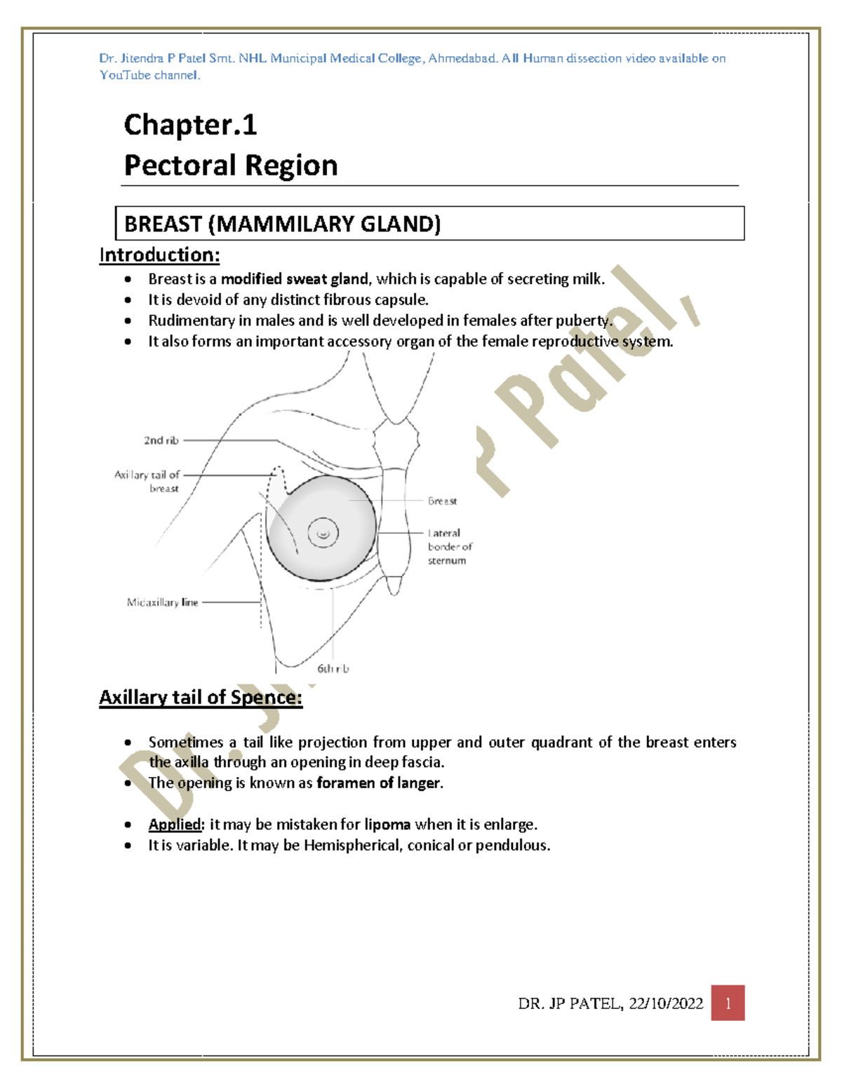 Upper Limb Short Notes - Pectoral Region and Axillary Anatomy - Studocu