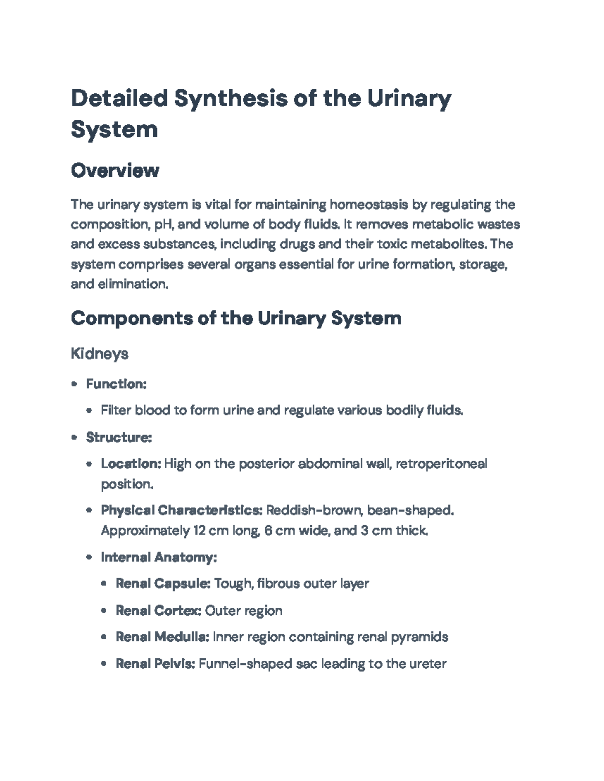 Detailed Overview of the Urinary System: Anatomy and Function ...