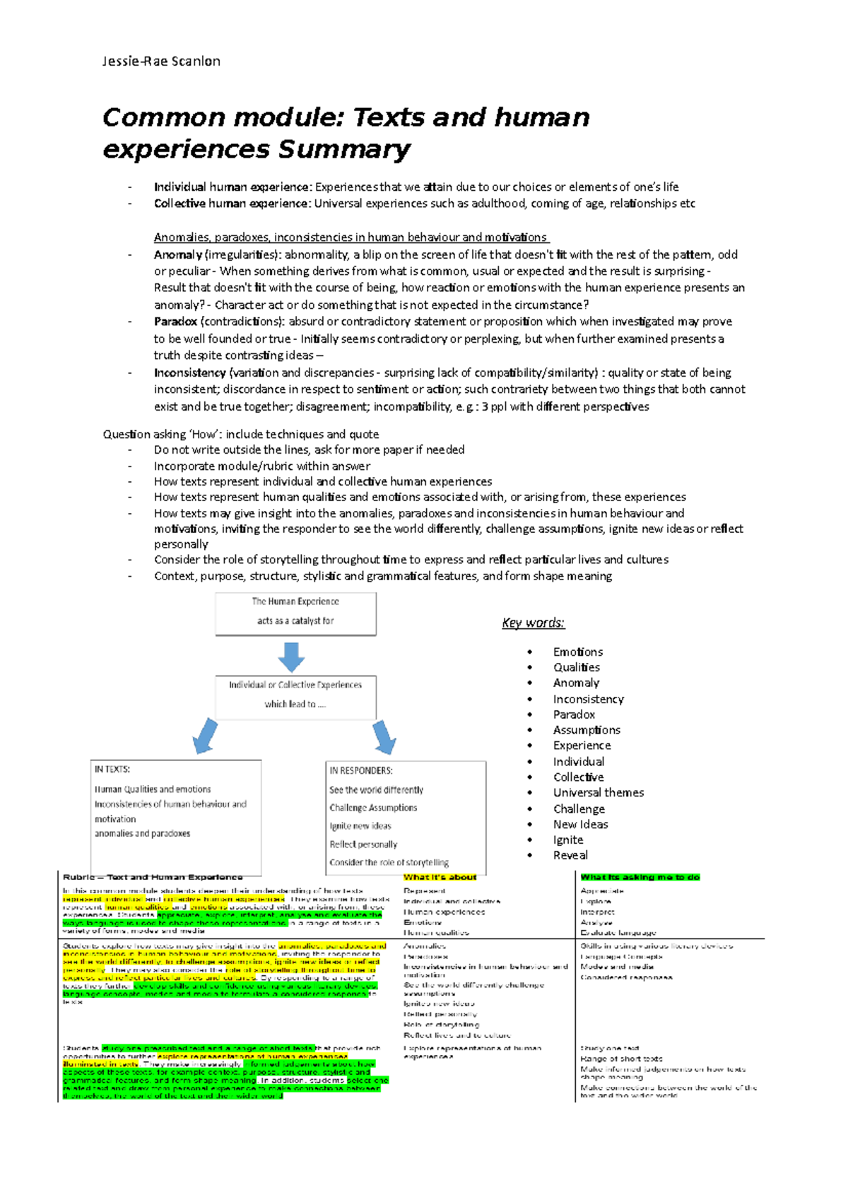 Common module Summary - Texts and human experiences - Common module ...
