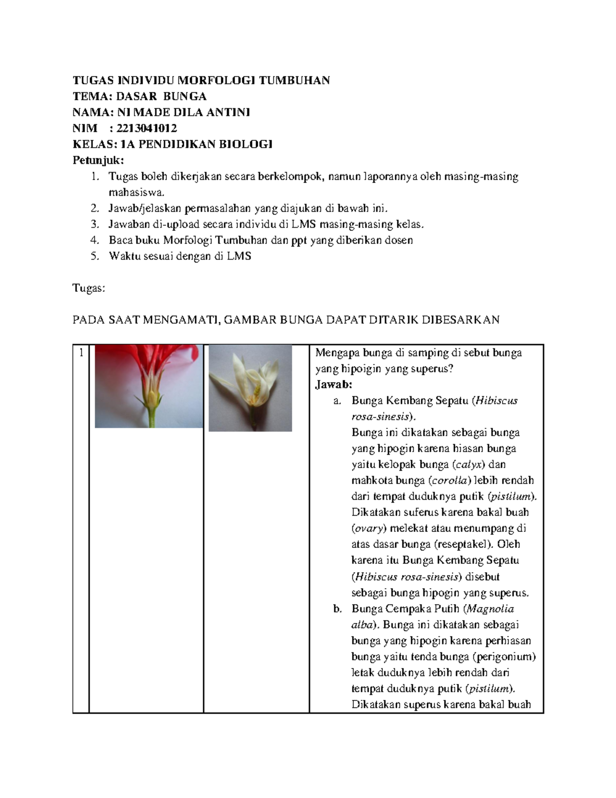 Tugas Individu Morfologi dasar bunga - TUGAS INDIVIDU MORFOLOGI ...