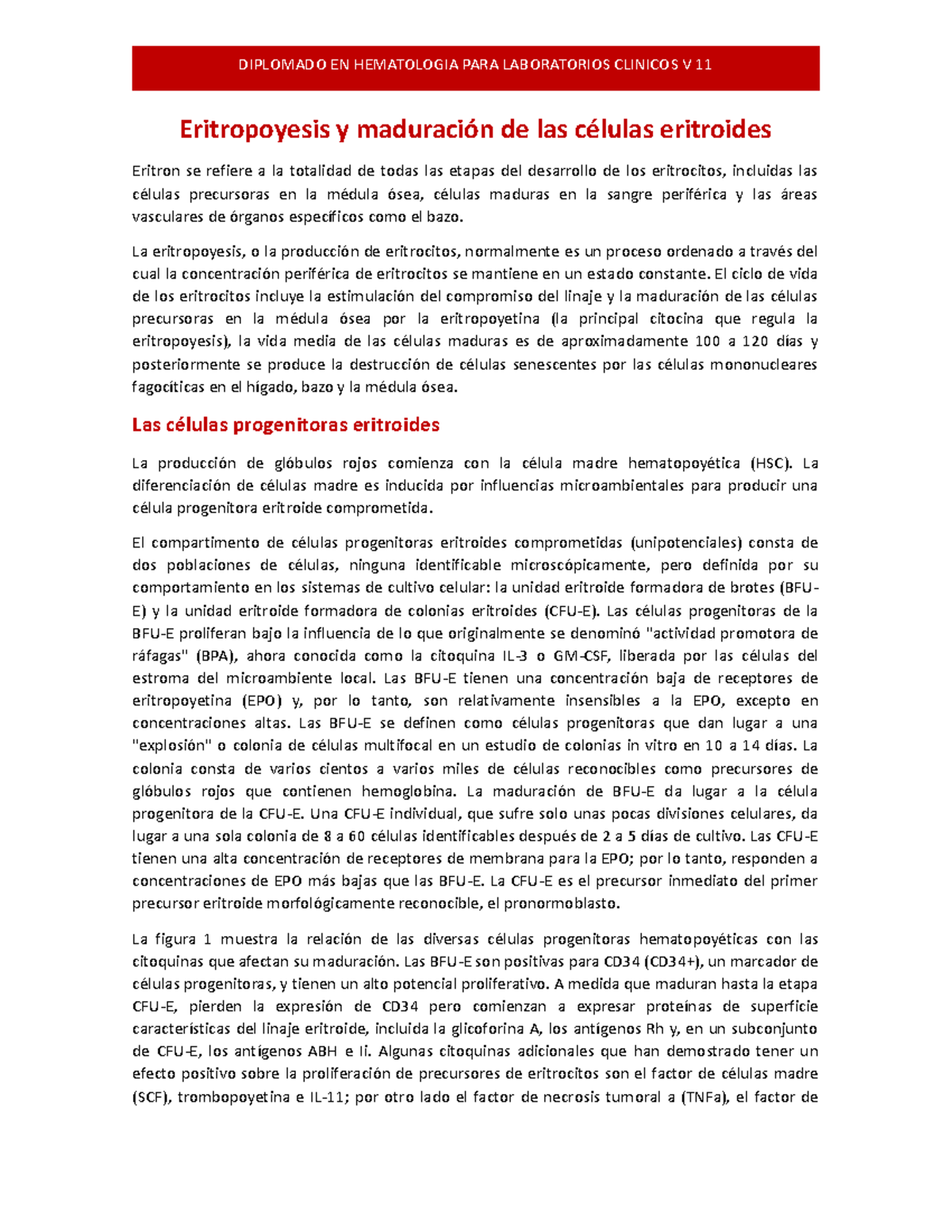 Eritropoyesis y Maduración de Células Eritroides en Hematología - Studocu