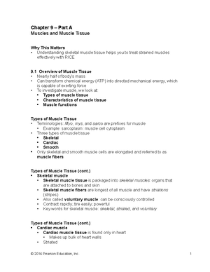 Chapter 9: Muscle and Muscle Tissue Quiz Questions Anatomy and ...