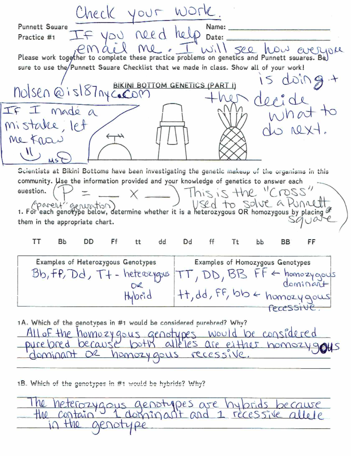 Genetics Practice Problems & Punnett Square Guide (BIO 101) - Studocu