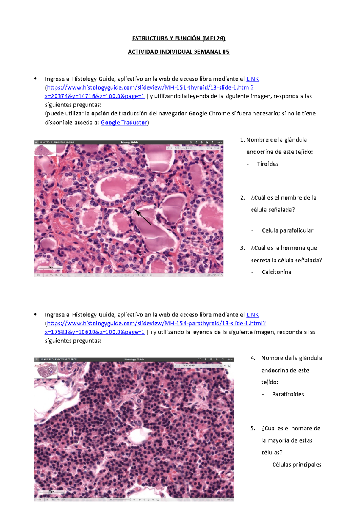 ME129 Ey F Tarea Sem05 24 - ESTRUCTURA Y FUNCIÓN (ME129) ACTIVIDAD ...