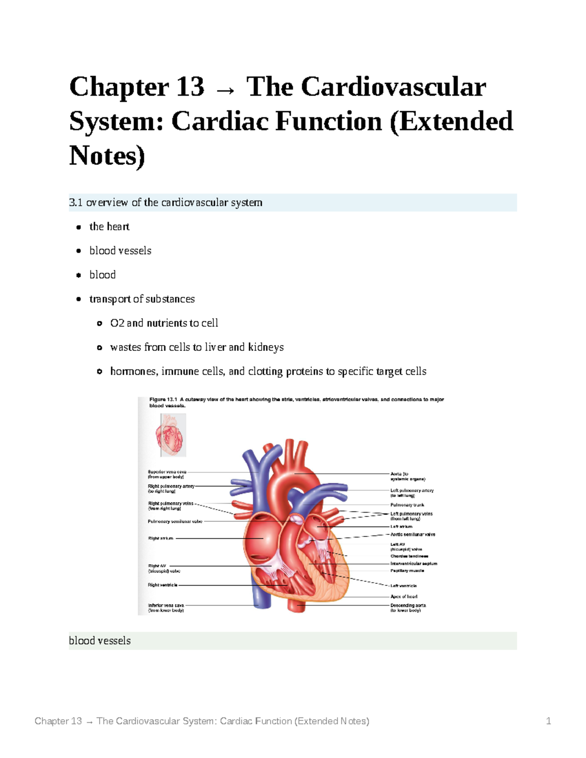 Chapter 13 Cardiovascular System Worksheet A&P Chapter 13: