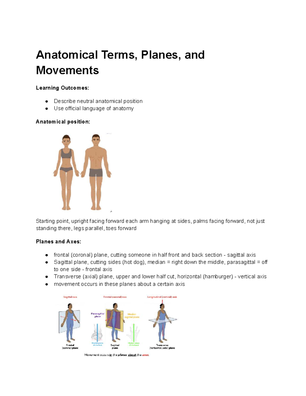 Anatomy Unit 1: Anatomical Terms, Planes, and Movements Overview - Studocu
