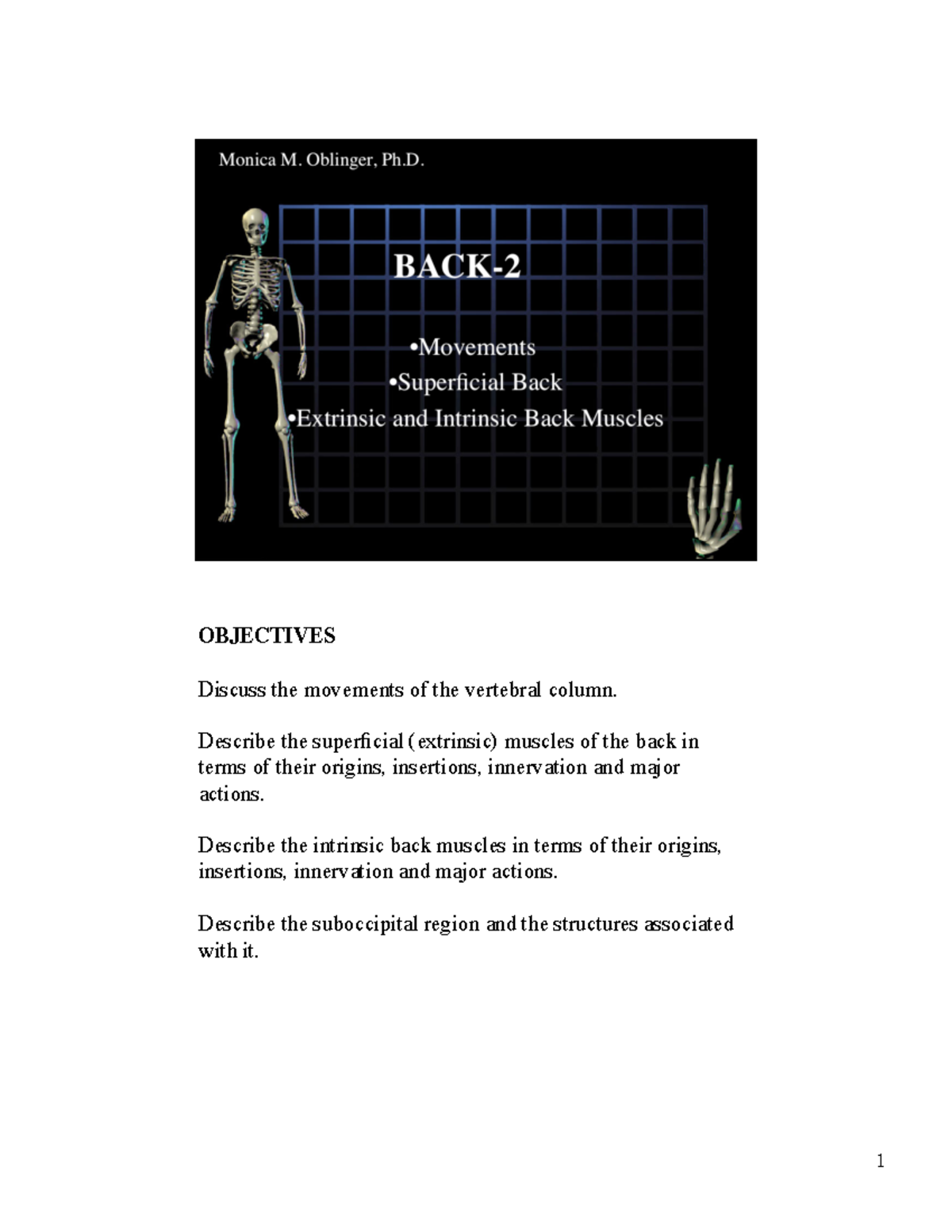 Anatomy - Back Muscles and Movements Overview (BACK101) - Studocu