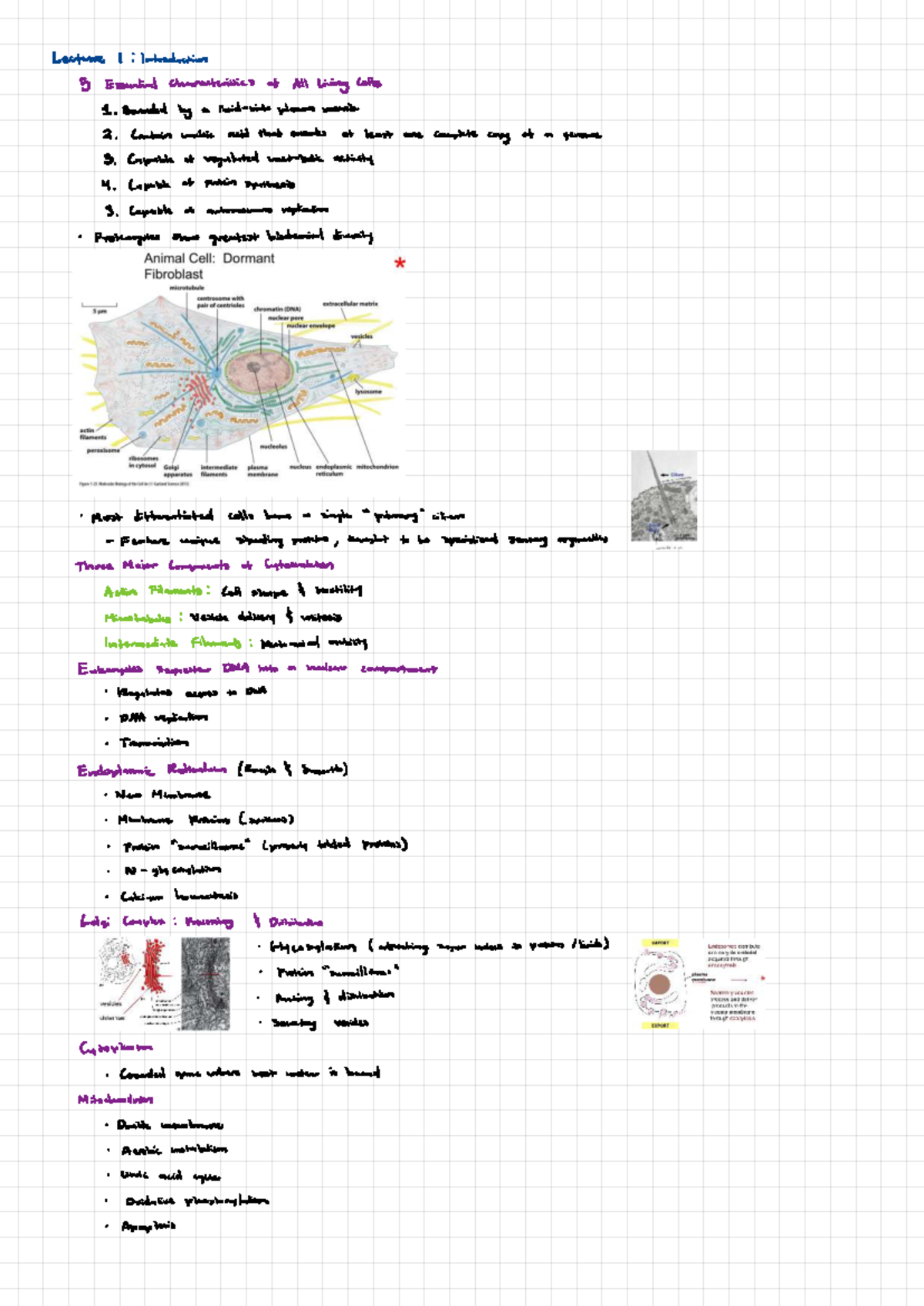 Cell Biology and Protein Structure: Lecture Notes for Course XYZ - Studocu